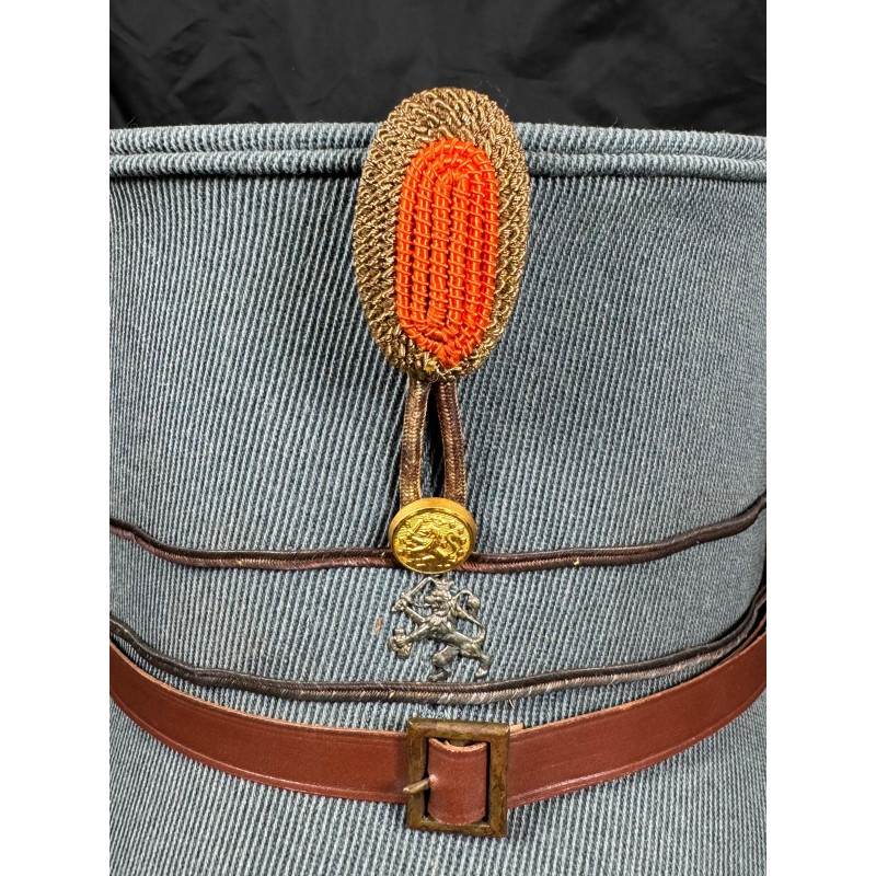 DUTCH WW2 OFFICER KEPI